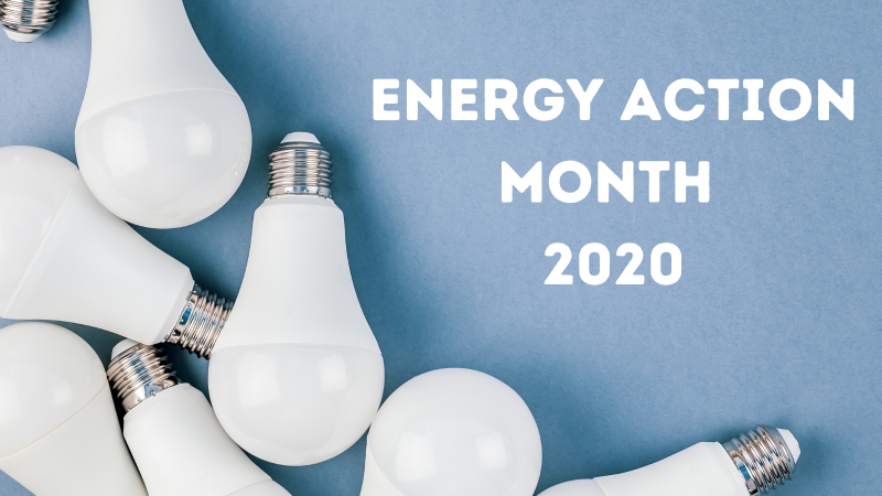 News | Office of Environmental and Energy Coordination