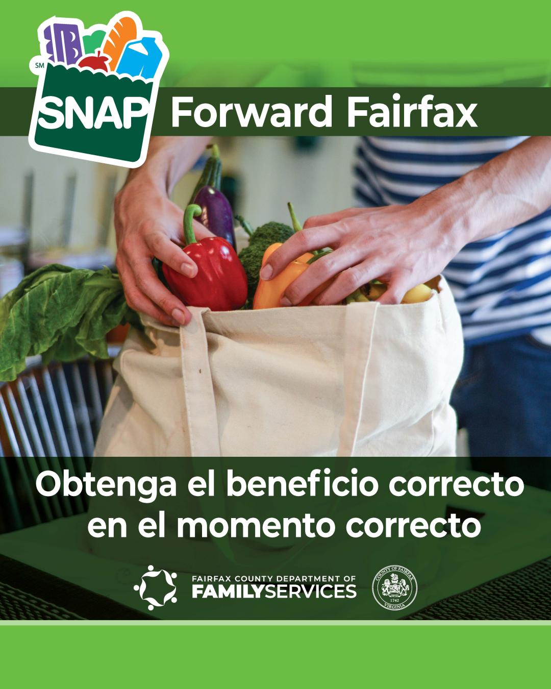 SNAP Forward Fairfax – Community Engagement Toolkit | Family Services