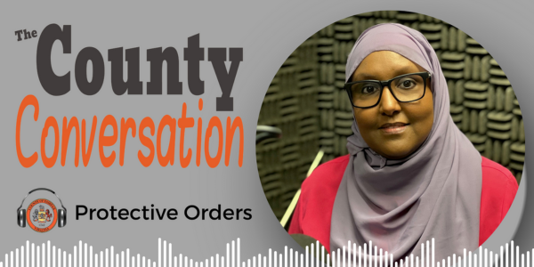 Understanding Protective Orders: A Safety Tool for Survivors of ...