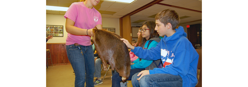 Meaningful Watershed Educational Experience | Park Authority