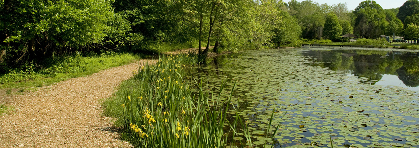 Ellanor C. Lawrence Park On Your Own | Park Authority