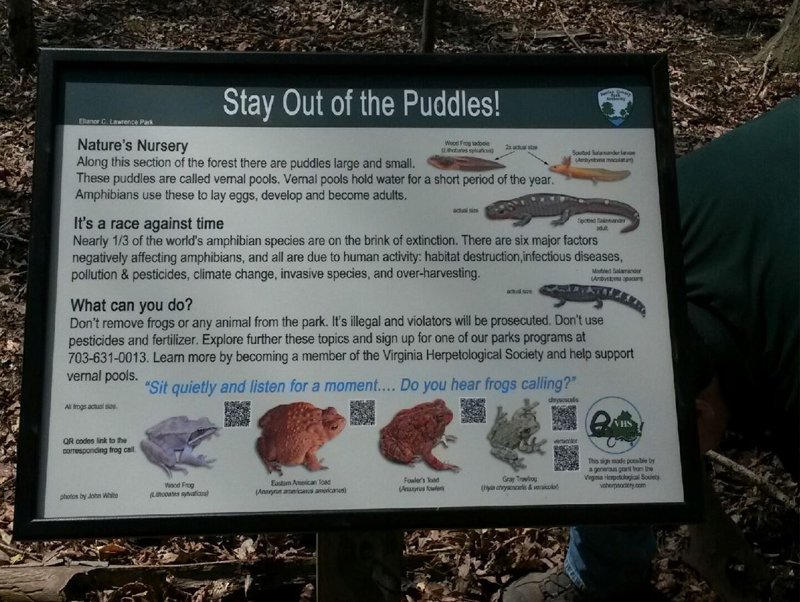 Stewardship of Vernal Pools | Our Stories and Perspectives