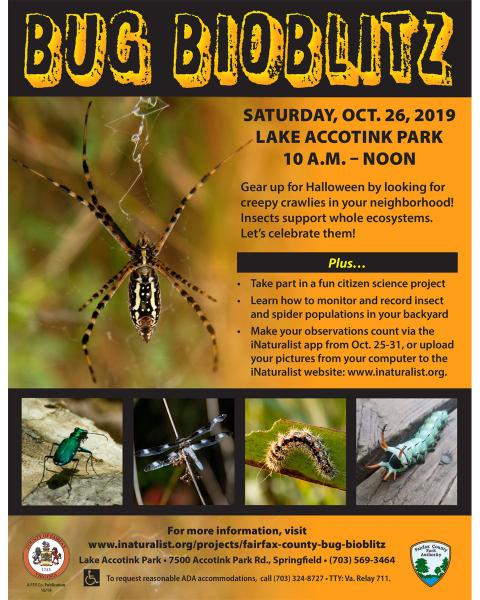 News | Park Authority