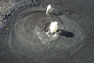 Public Works & Environmental Services | Public Works and Environmental ...