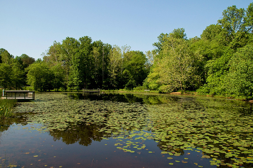 Living in the Sully District | Board of Supervisors - Sully