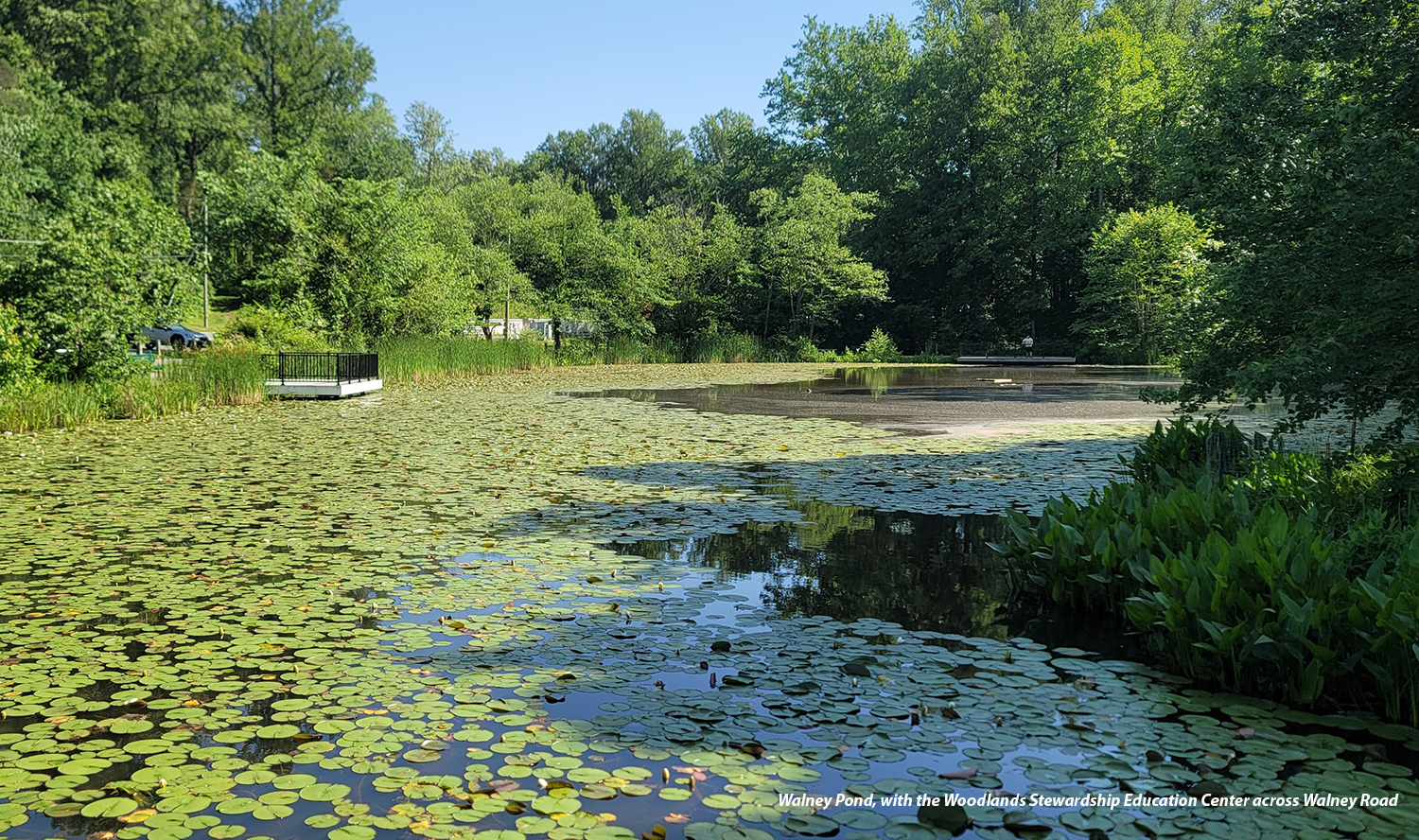 66 Parallel Trail | Transportation